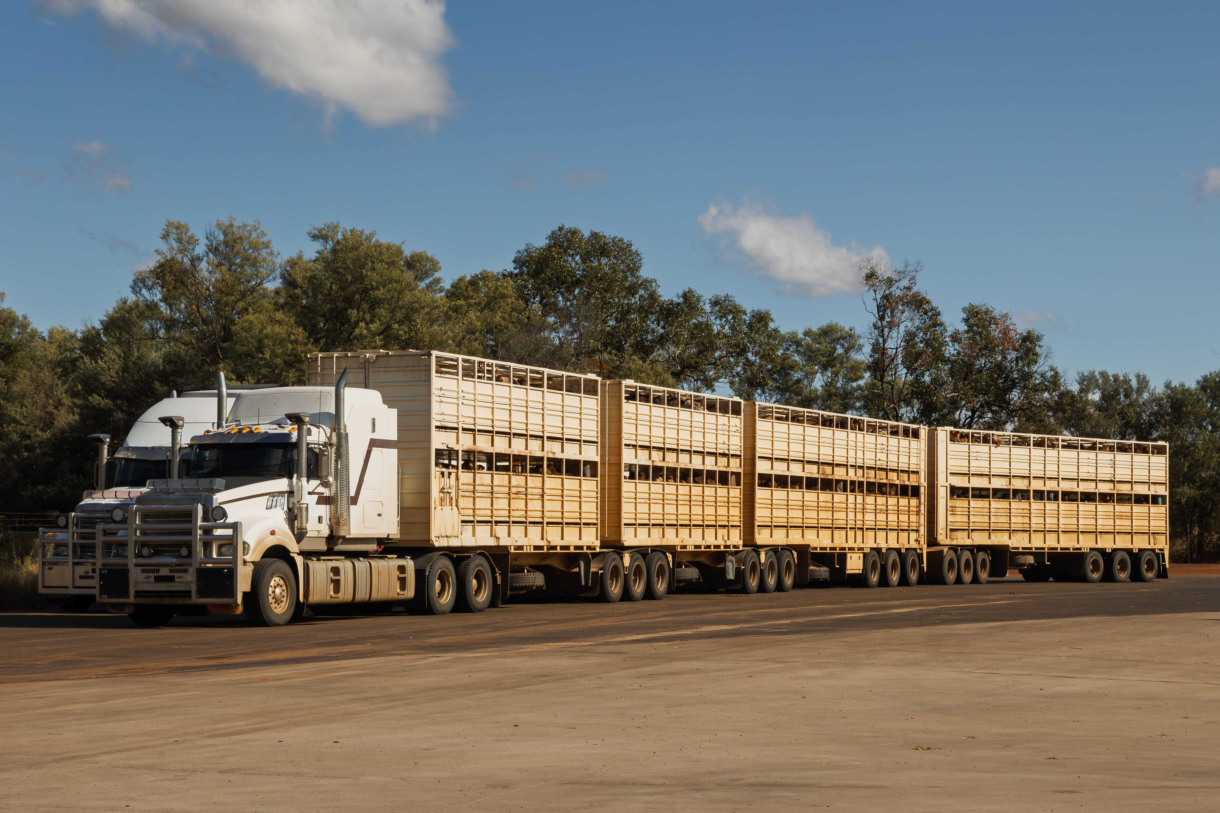 Queensland Trucking Association Ltd